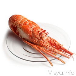 Come cucinare l'aragosta - Misya.info