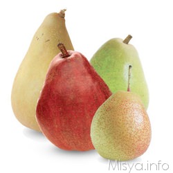 Ricette di cucina di Misya - Ricette facili con foto