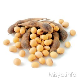 Come cucinare la soia - Misya.info