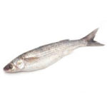 Pesce - Elenco dei tipi di pesce più utilizzati in cucina